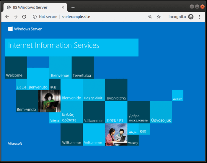Install Let’s Encrypt with IIS on Windows Server 2019 - Snel.com