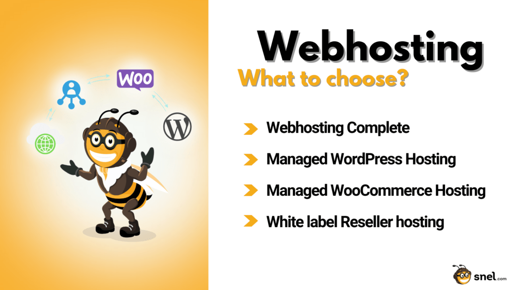 Quick Web Hosting Guide: Which Plan is Right for You? | Snel.com